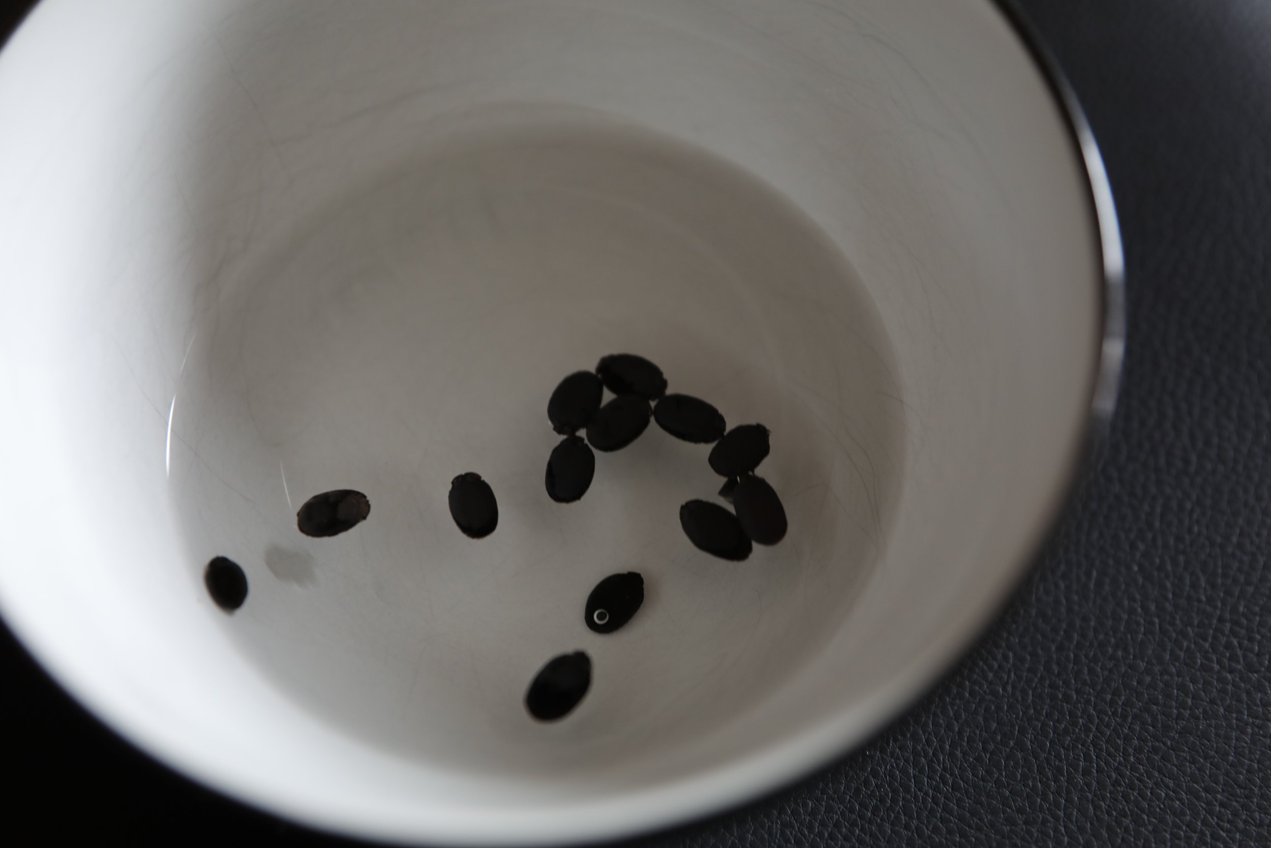 Soaking Seeds Before Planting: A Simple Trick for Faster Germination ...