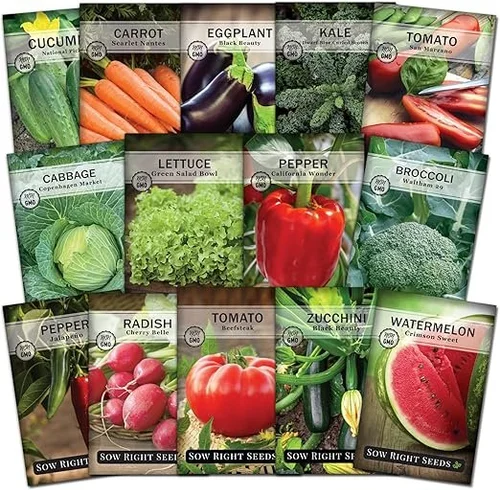 How to Start Vegetables from Seed: A Step-by-Step Guide for Home ...