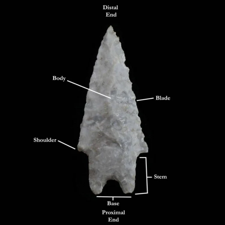 How Archaeologists Know the Age of Artifacts - Arrowheads & Typologies ...
