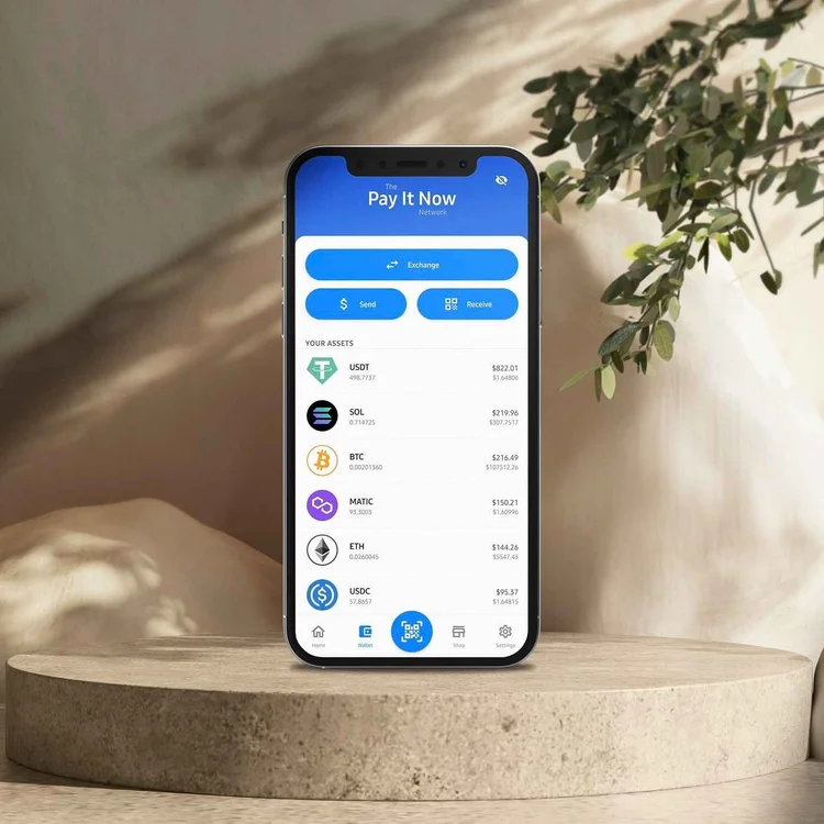 Get Started — Pay It Now (PIN) - NZ's Leading Blockchain Innovator