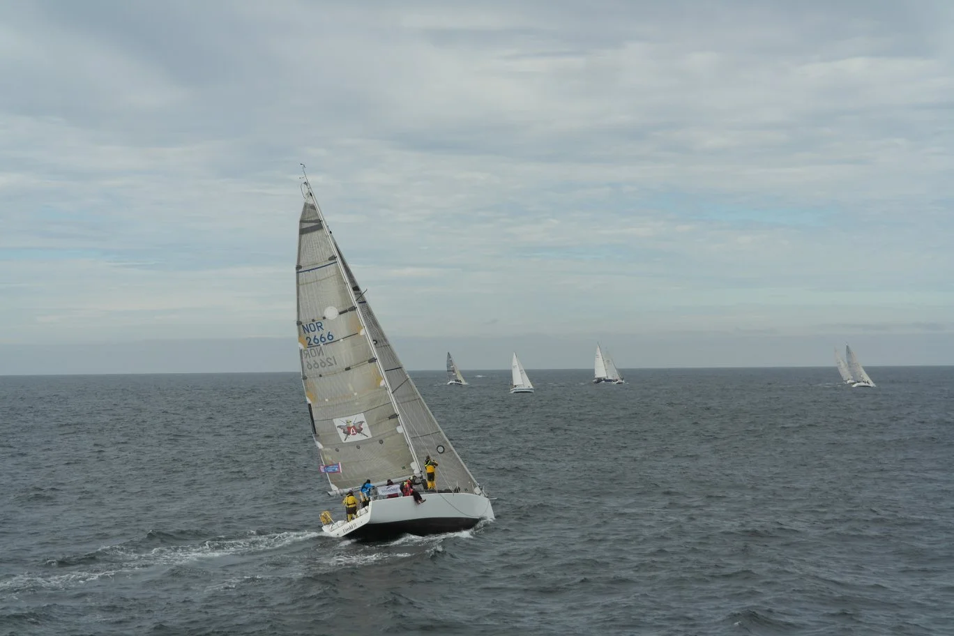 Shetland Race