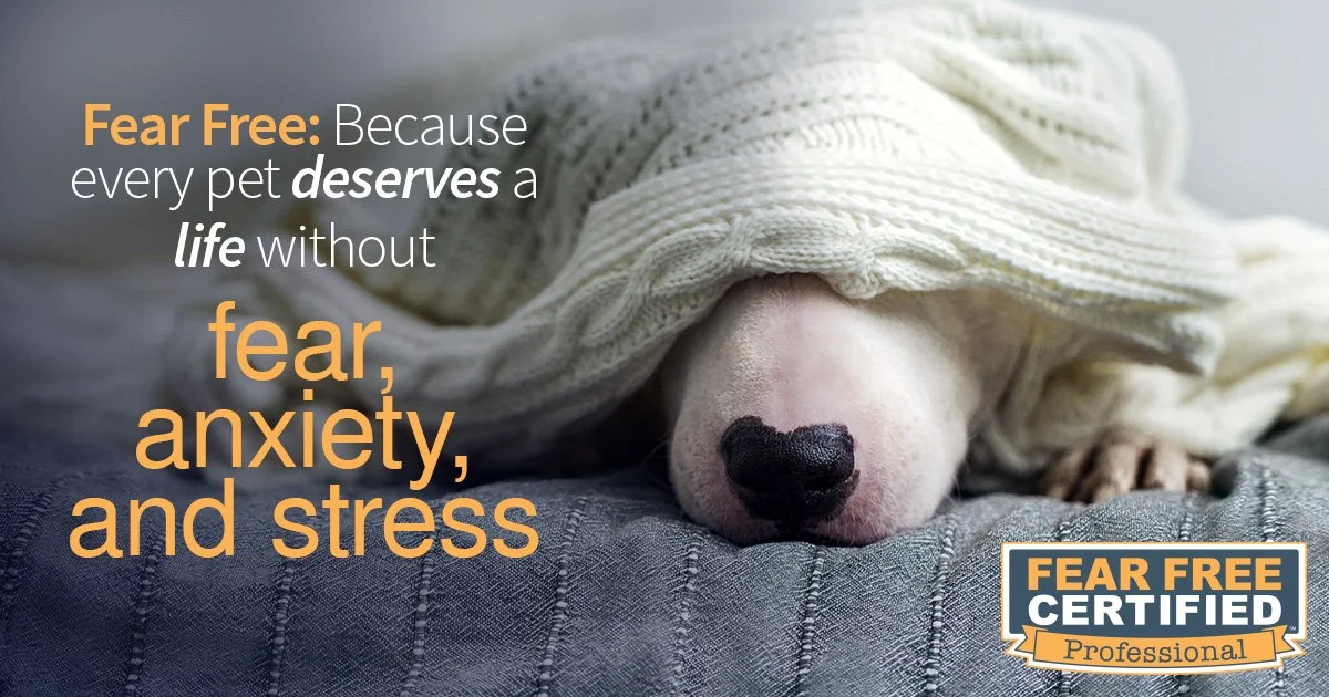 Premier Veterinary Care Serving Northeast Ohio