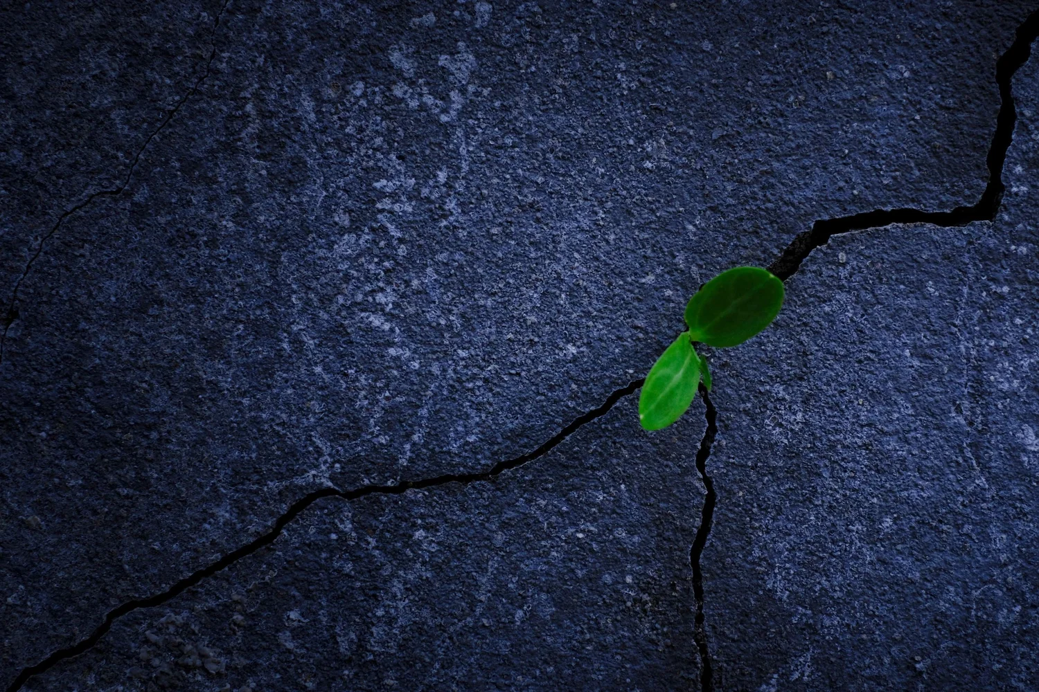 Reframing Failure: How to Turn Setbacks into Stepping Stones ...