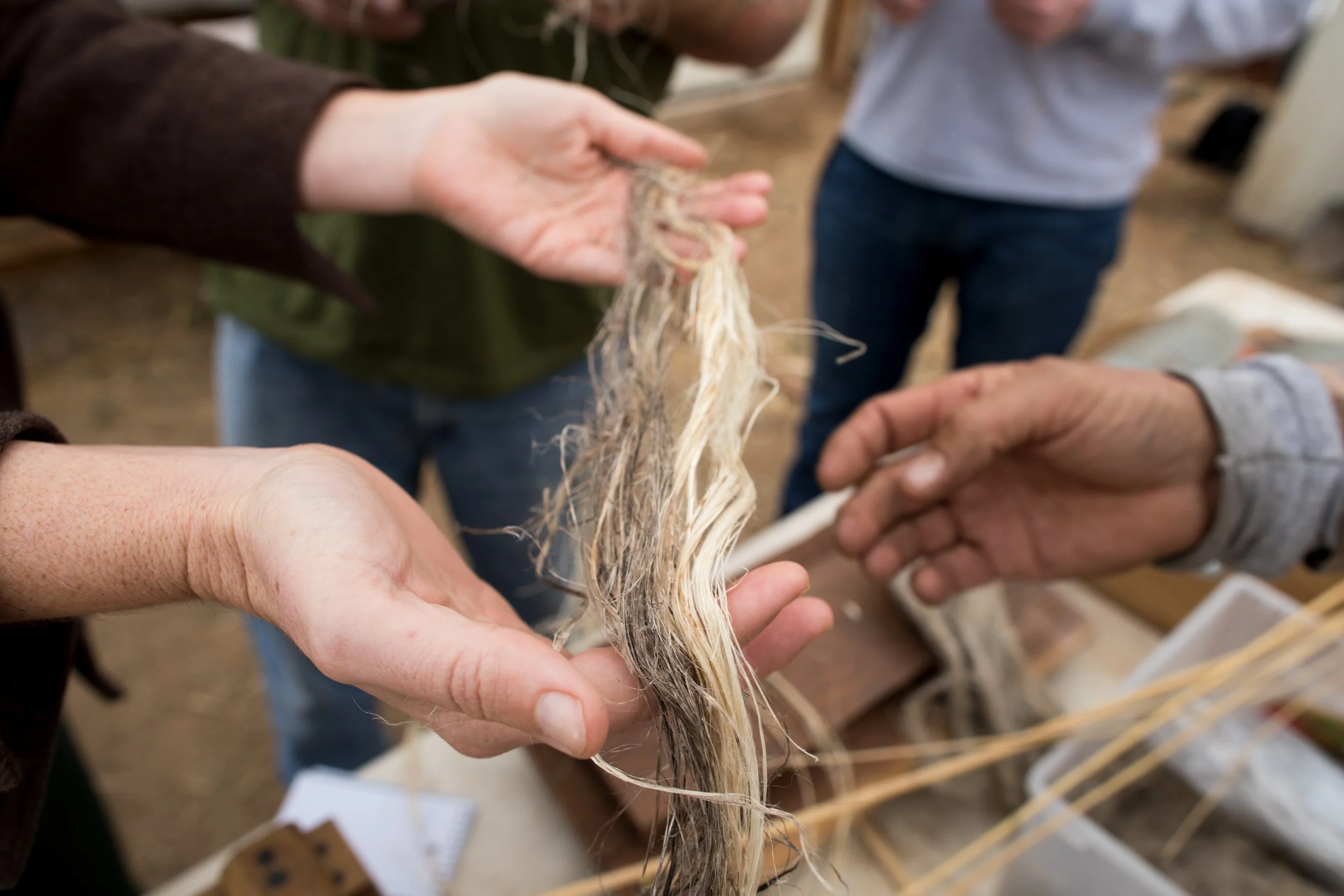 Michigan Fibershed