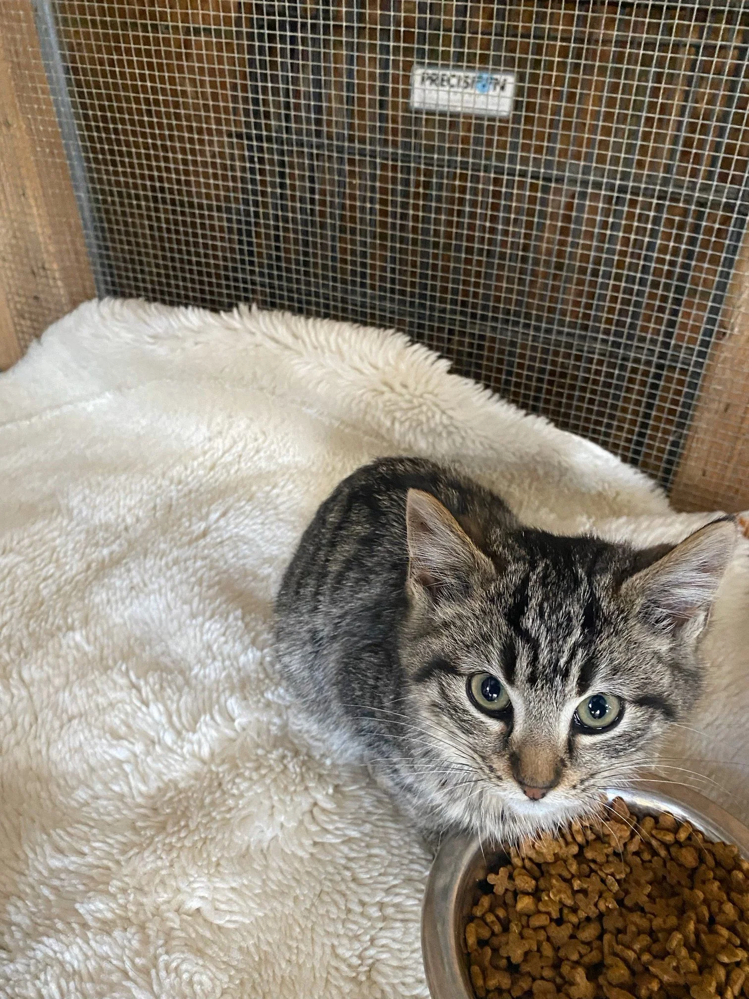 Hoosier Animal Rescue & Sanctuary