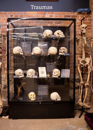 The Bone Museum