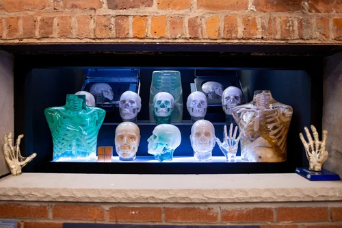 The Bone Museum