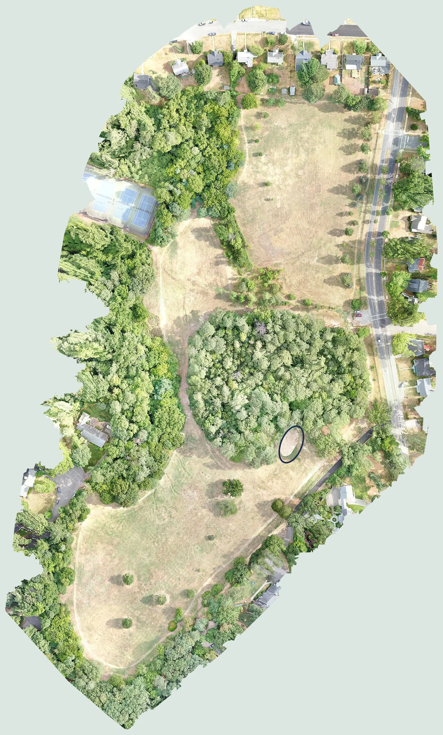 Pollinator Habitat Garden — Friends of Bandy Field Nature Park