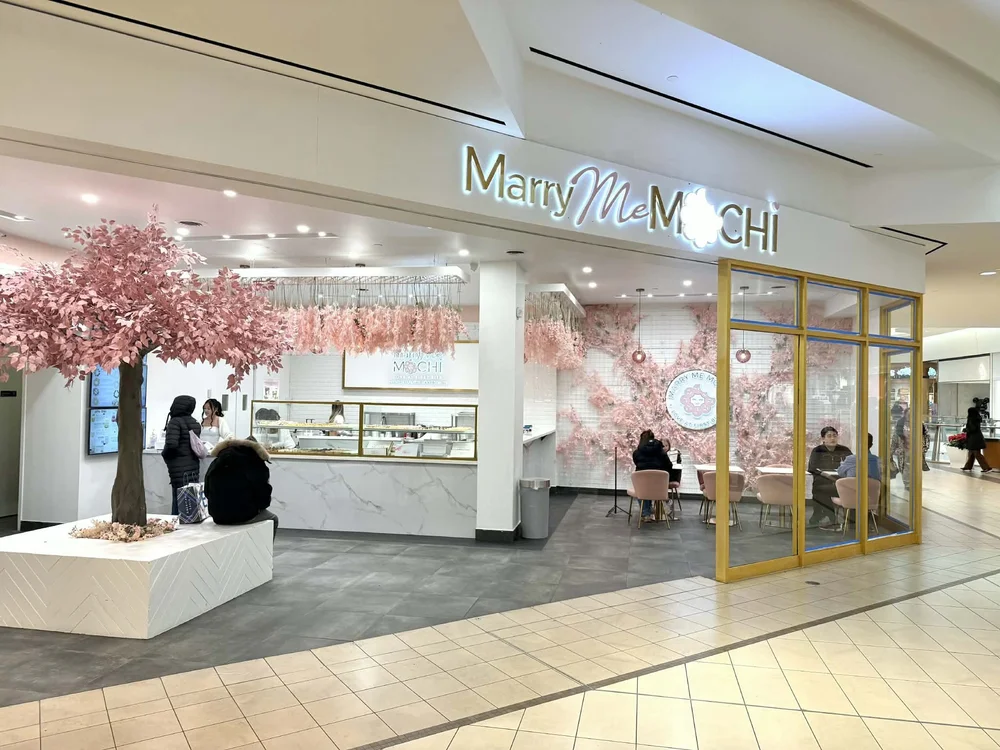 Visit Marry Me Mochi | Mochi Donut Locations in Toronto & GTA — Marry ...