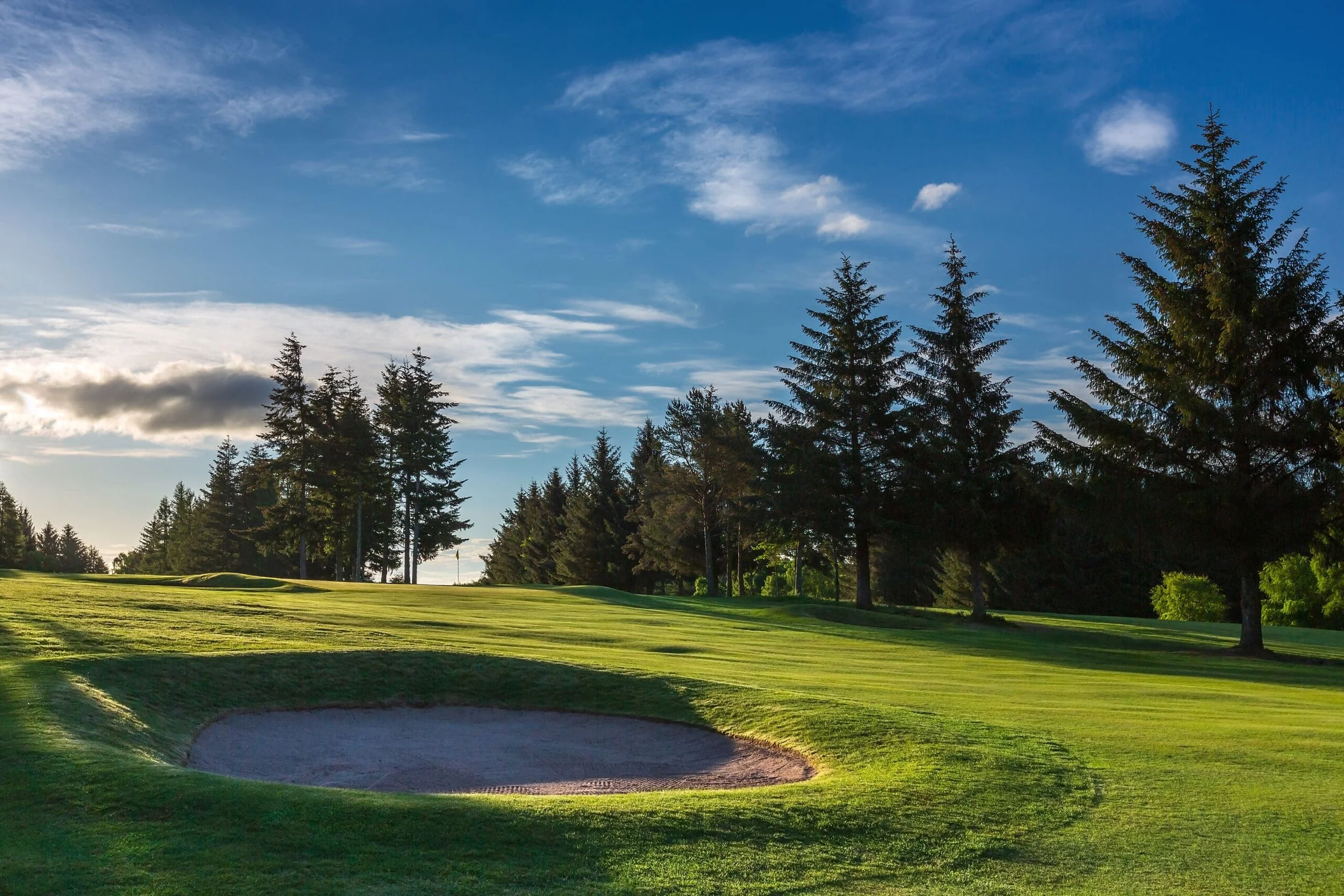 Tee Booking — Alyth Golf Club