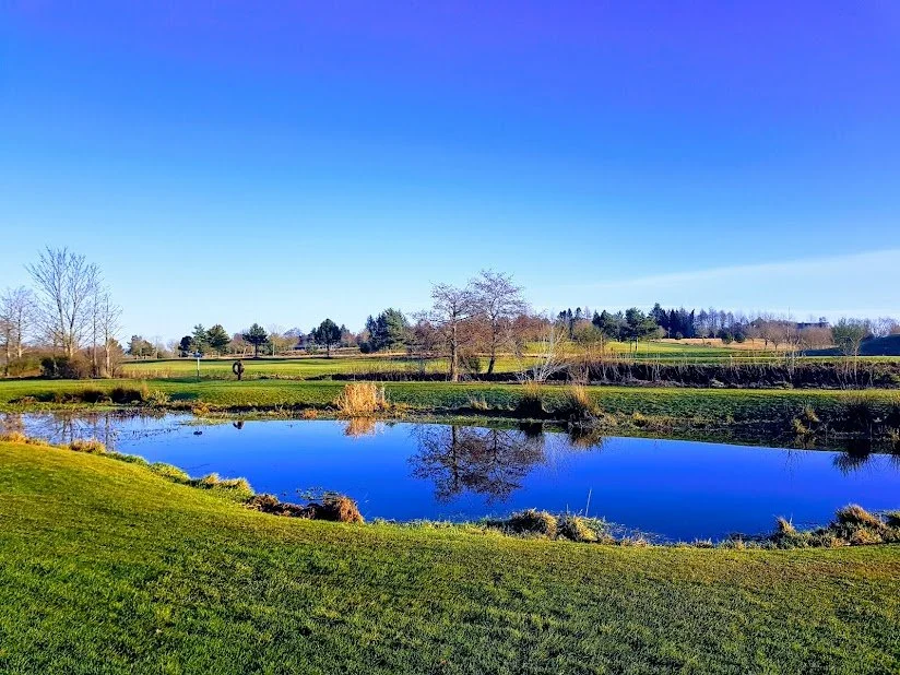 Offers — Alyth Golf Club