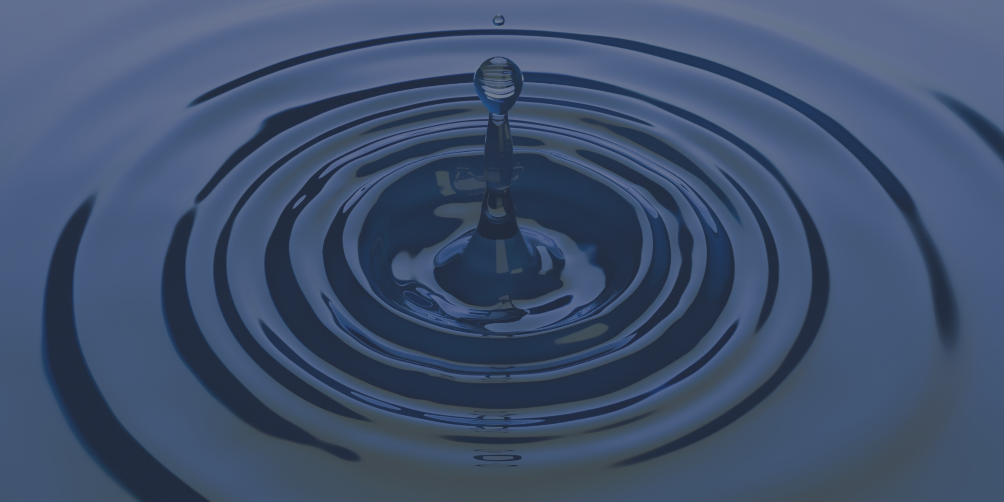 188 Foundation — Concentric