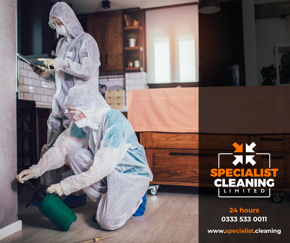 What makes Specialist Cleaners different? — Specialist Cleaning Limited