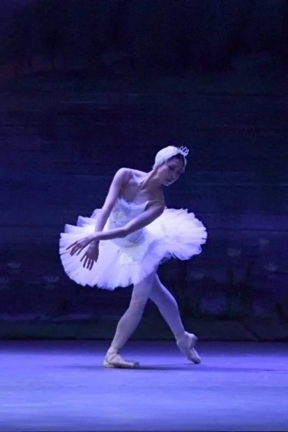 Current Season — NJ Ballet