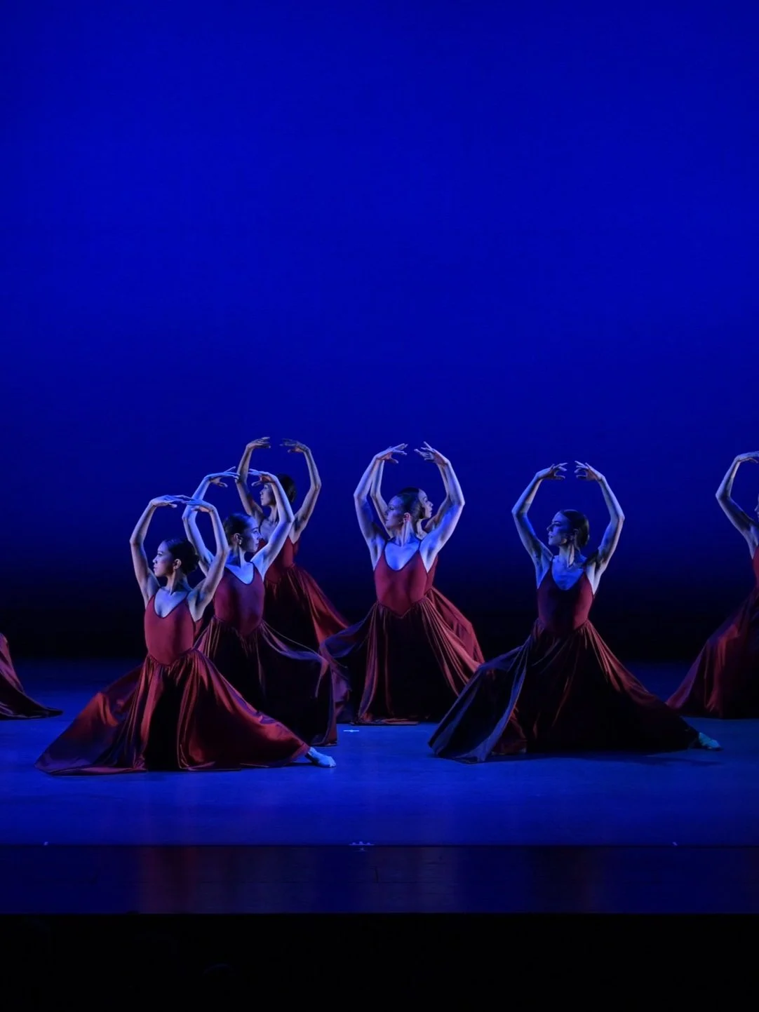 Current Season | Discover Ballet Now — NJ Ballet