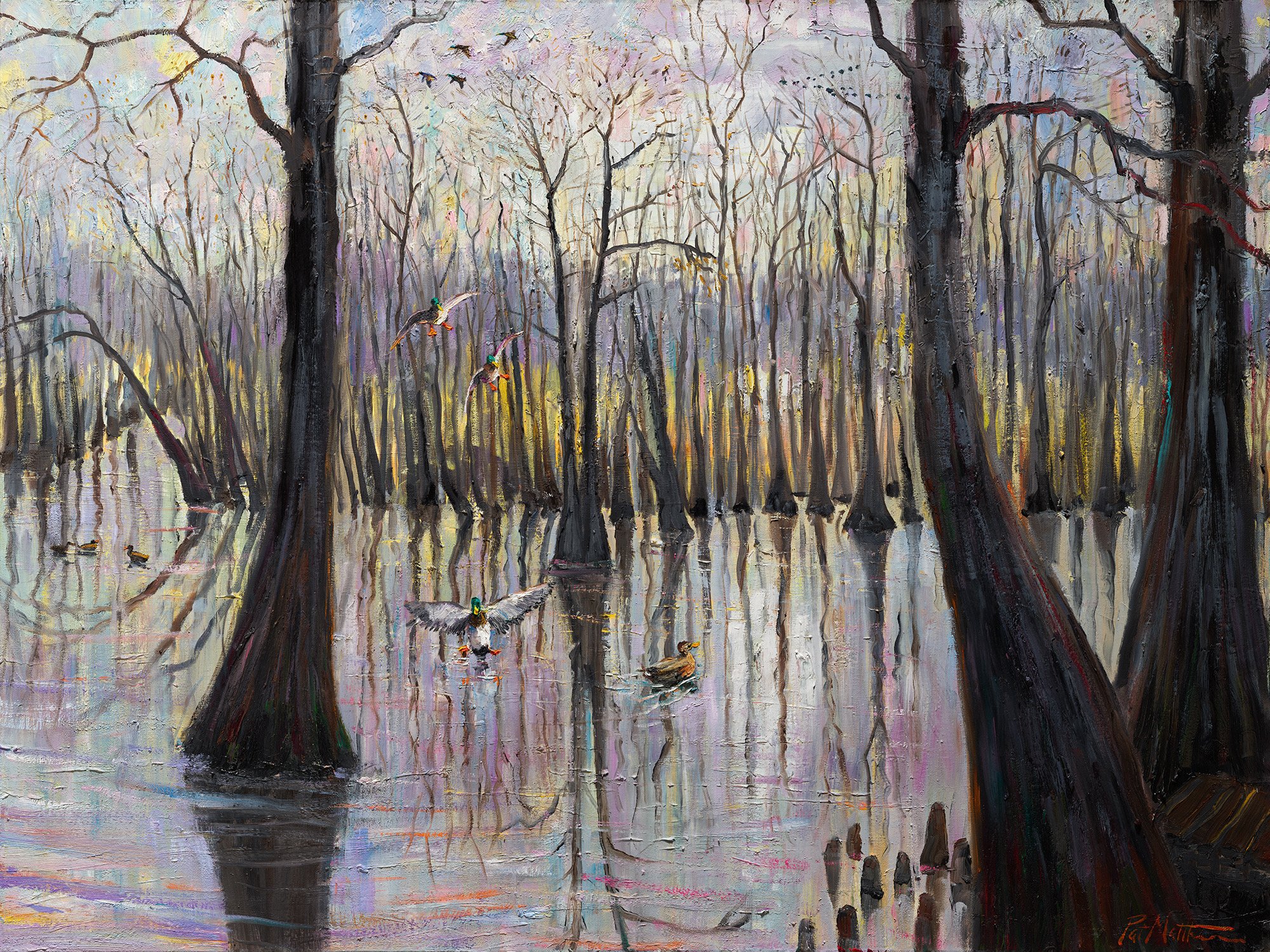 PAT MATTHEWS (Copy) (Copy) (Copy)