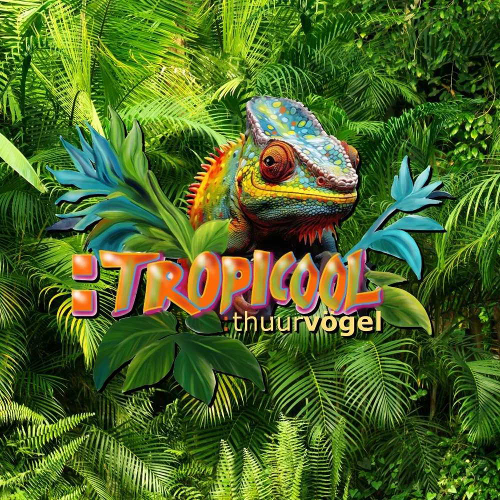 :tour — thuurvögel
