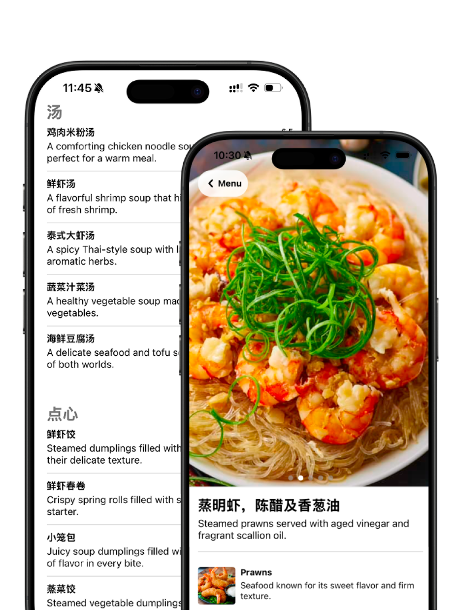 Menu Explain | Translate & Visualize Menus