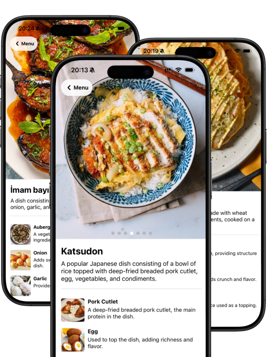 Menu Explain | Translate & Visualize Menus