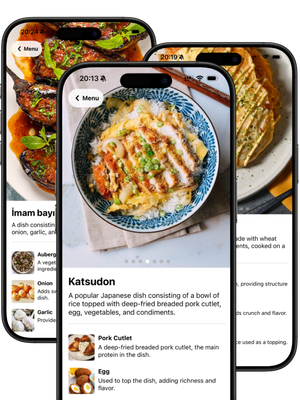 Menu Explain | Translate & Visualize Menus