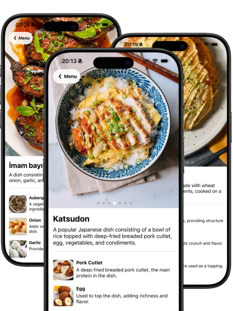 Menu Explain | Translate & Visualize Menus