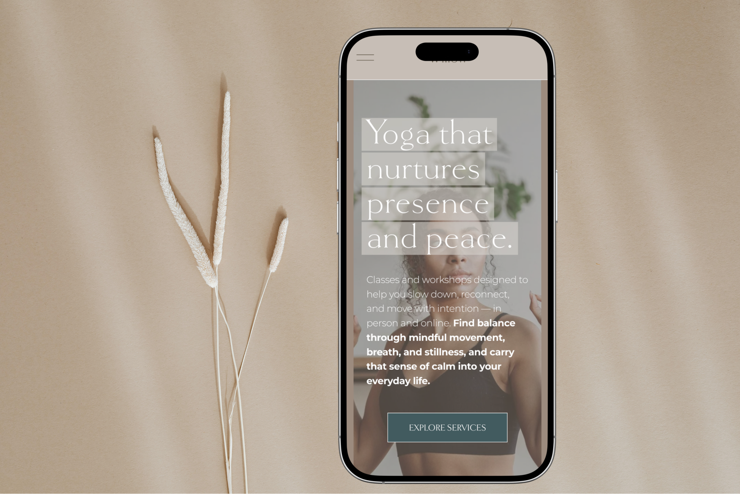 The Willow Template for Yoga Teachers & Body Workers — House of Poppy ...