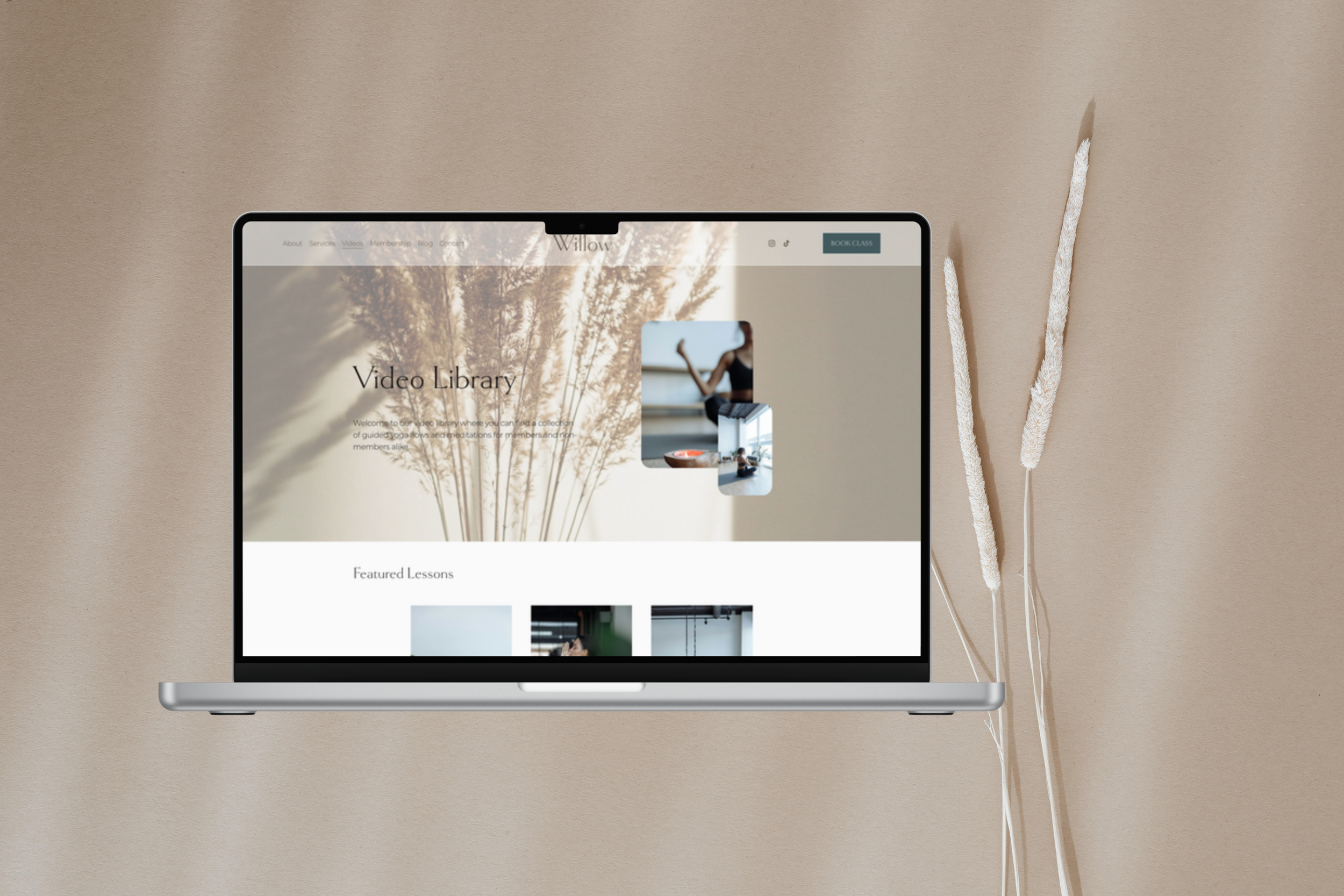 The Willow Template for Yoga Teachers & Body Workers — House of Poppy ...