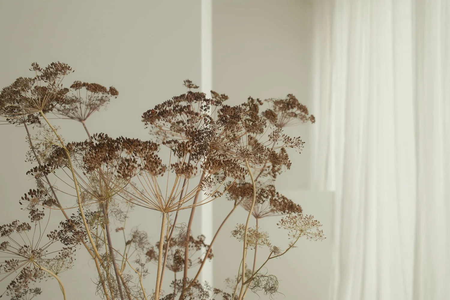 The Willow Template for Yoga Teachers & Body Workers — House of Poppy ...