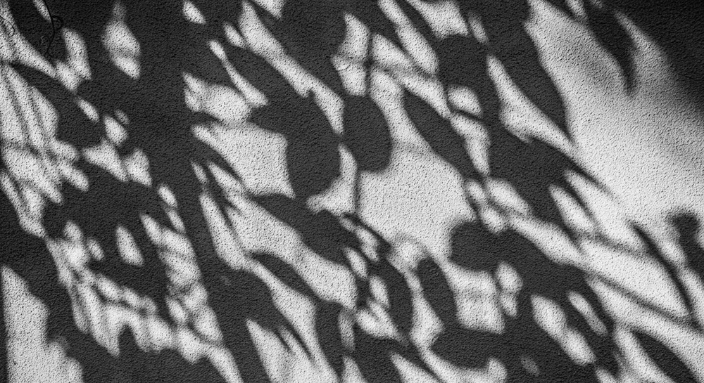 What We've Done — Fairground