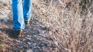 Going Slow to Go Fast: Why Patience Leads to Better Results in Work ...