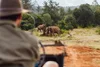 Kapara Collection — The Safari Series