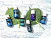 What Is Raindrop Technique? A Complete Guide to This Essential Oil ...