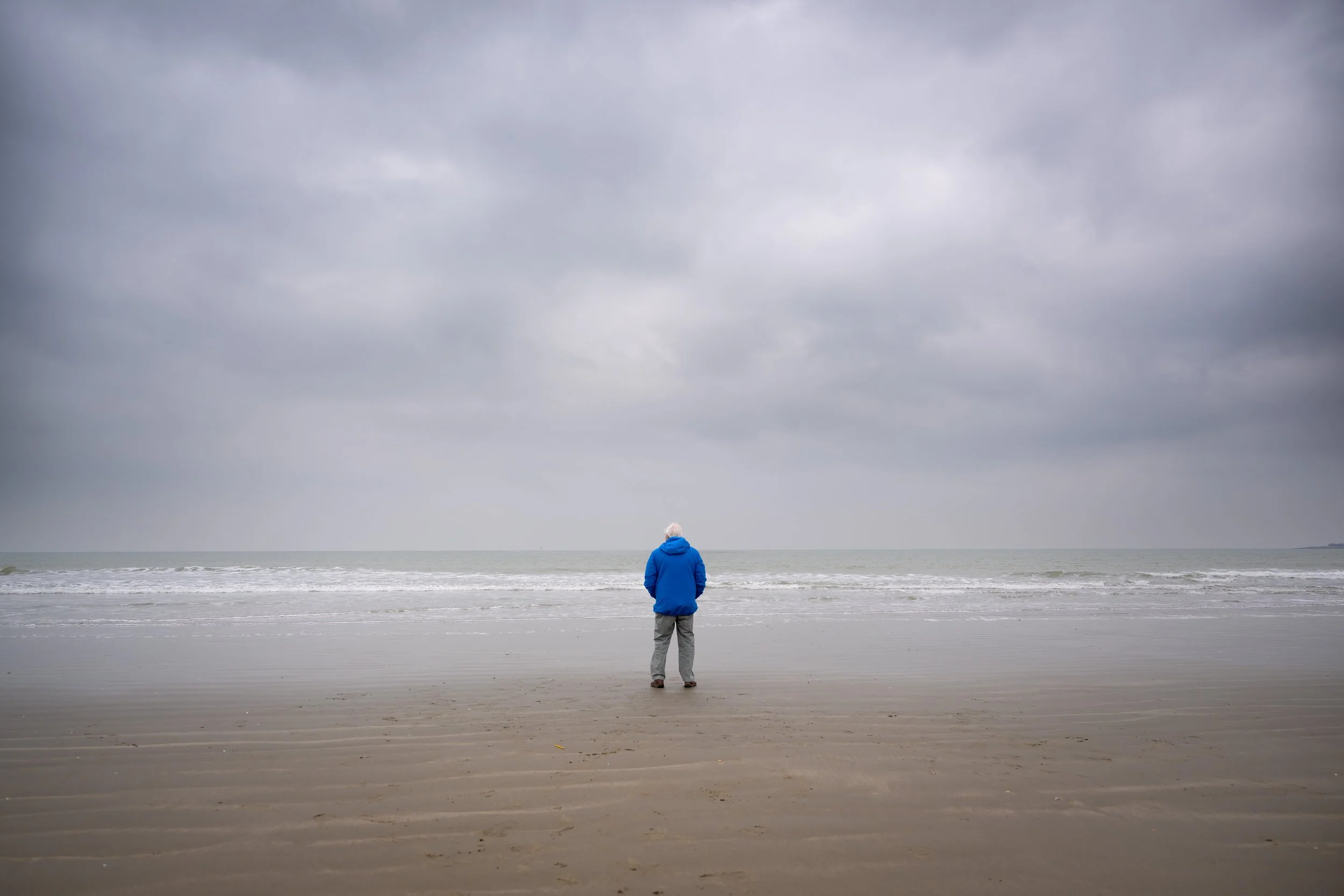 Ocean with David Attenborough — Open Planet Studios