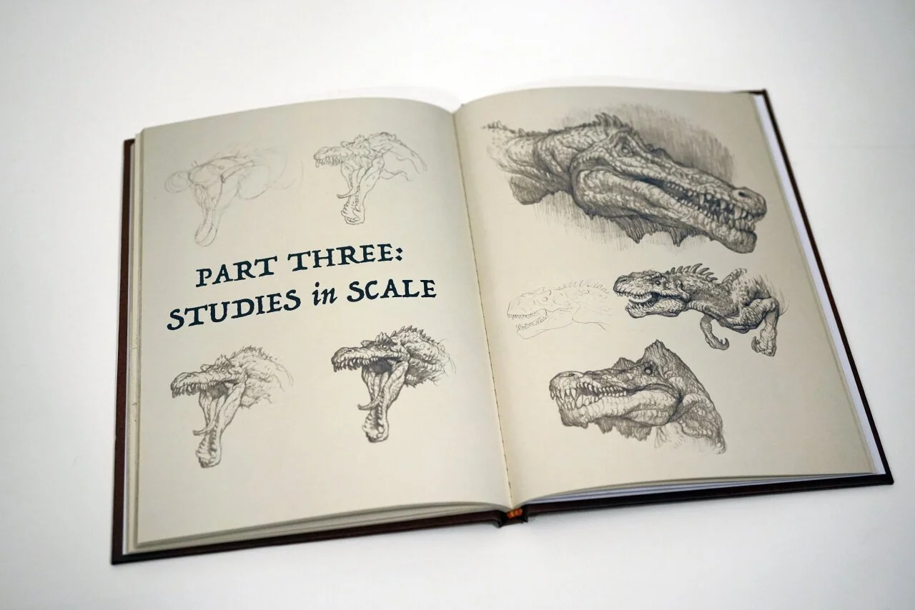 A Field Guide to Draco Floris Dragons by Annie Stegg Gerard — Gallery ...