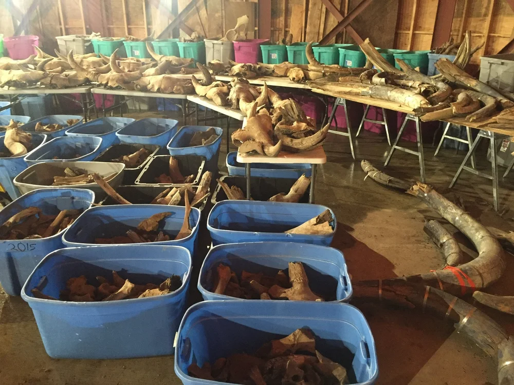 About — The Boneyard Alaska