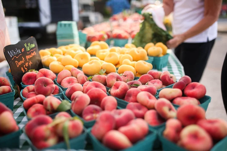 Event Schedule | Discover Events & Join Us — North Union Farmers Market