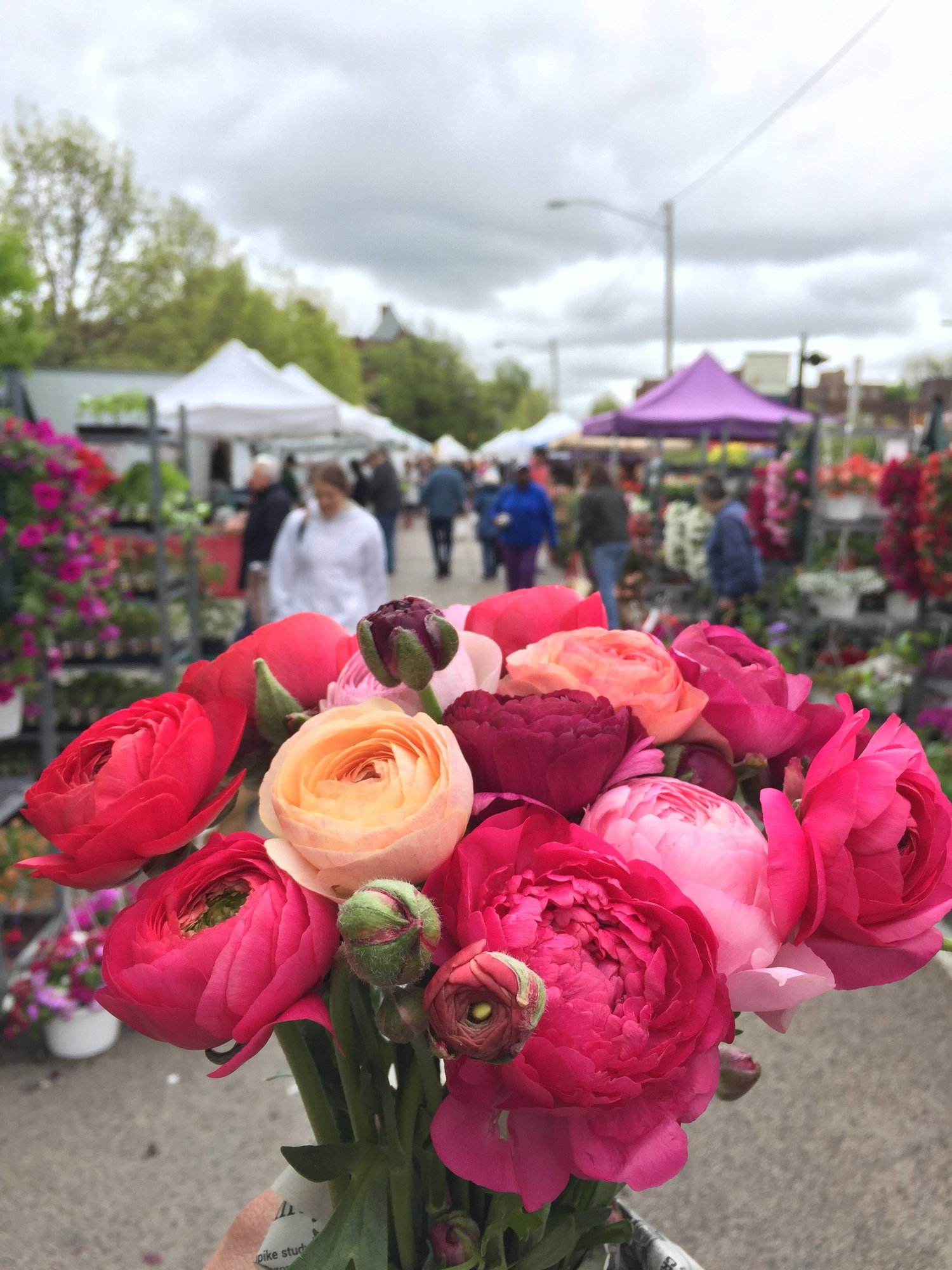 Contact Us | Get in Touch—Support Local Food — North Union Farmers Market