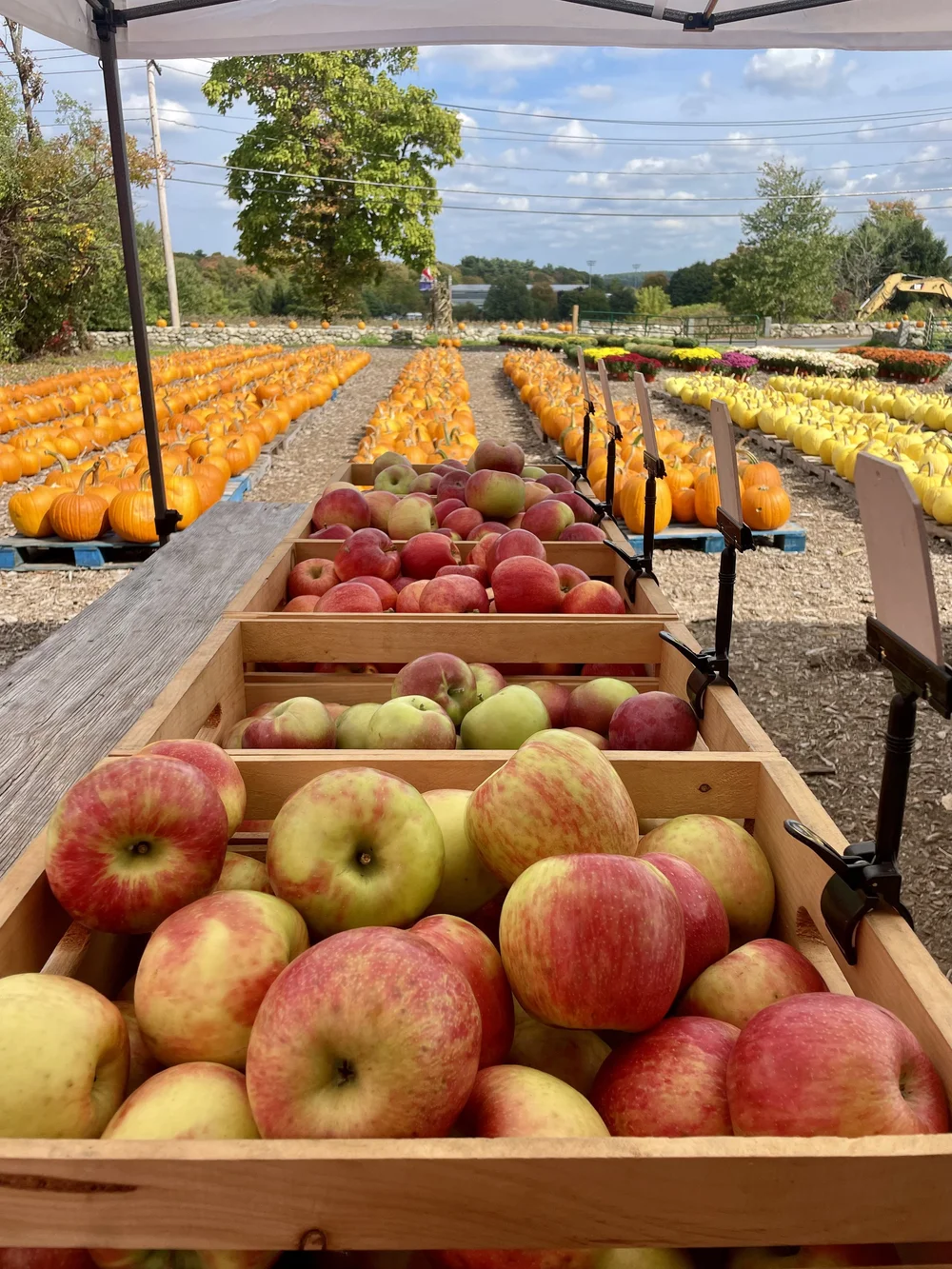 Bean Family Farm | Westwood MA: 14 Generation Family Farm