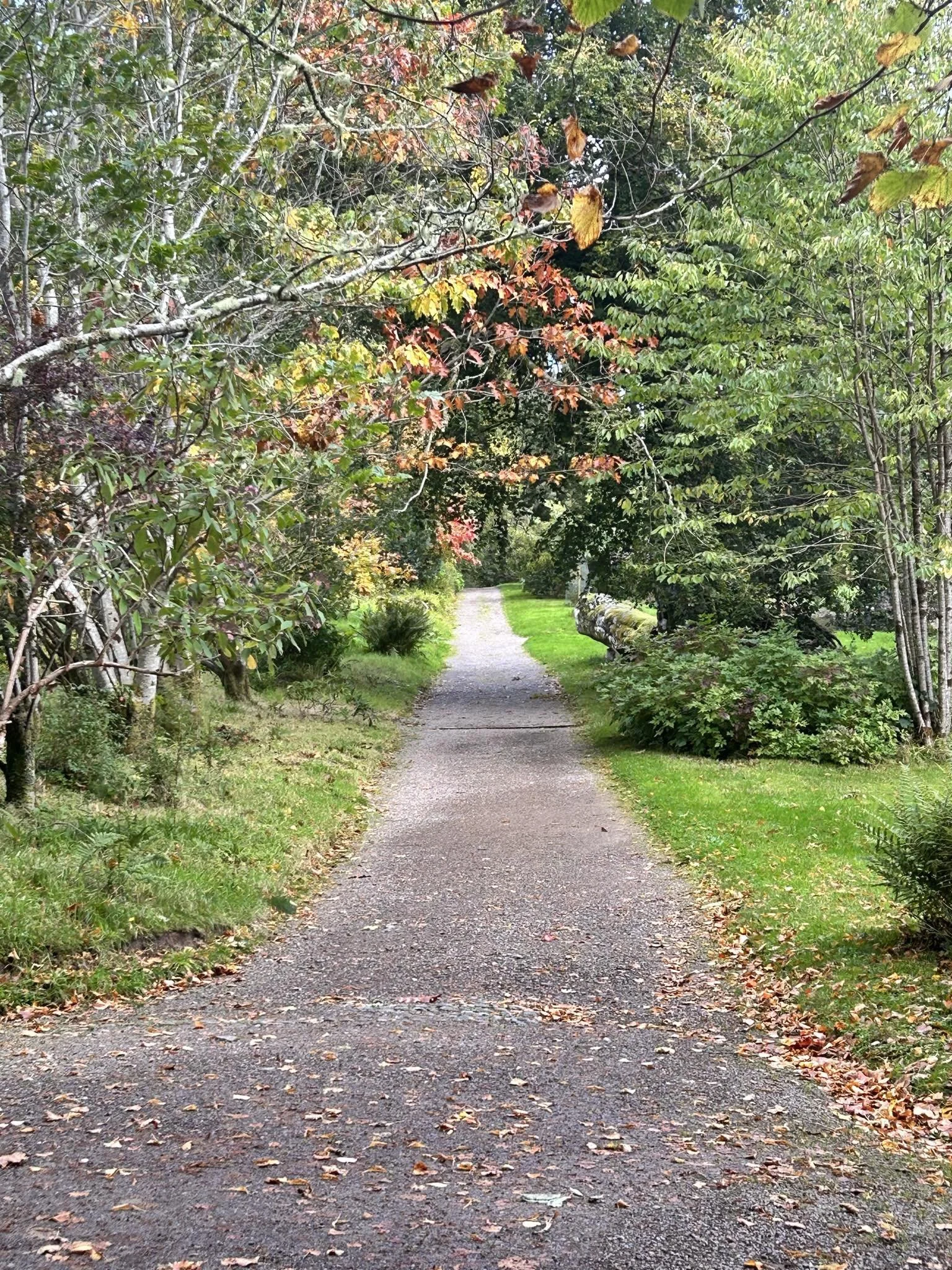 General 1 — Restorative Pathways