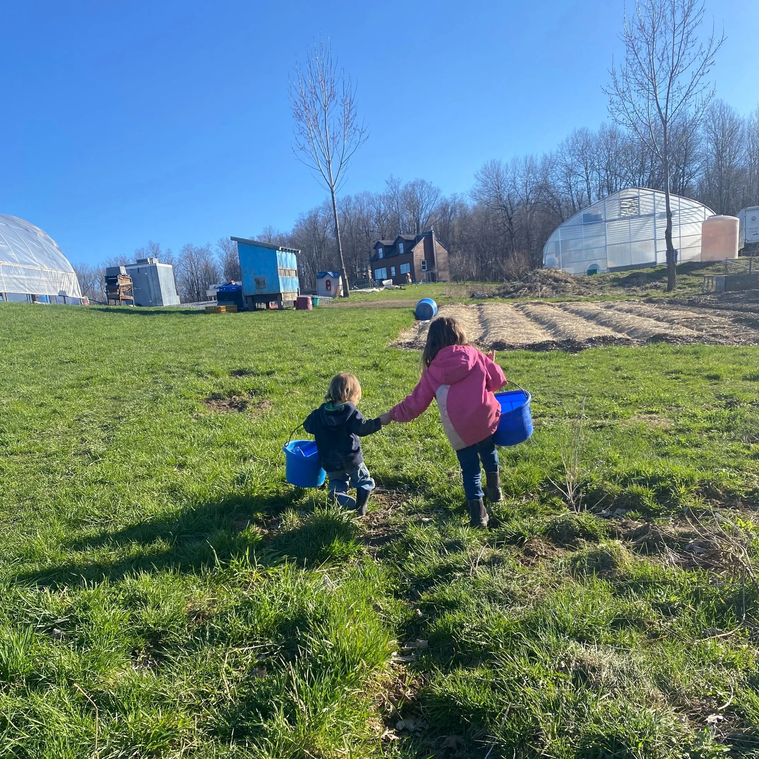 Grazin' Acres Farm | Grass-Fed Beef & Lamb | Heritage Breed Pork ...