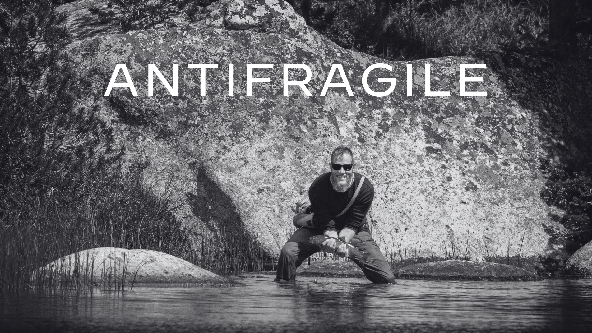 ANTIFRAGILE — Warriors & Quiet Waters