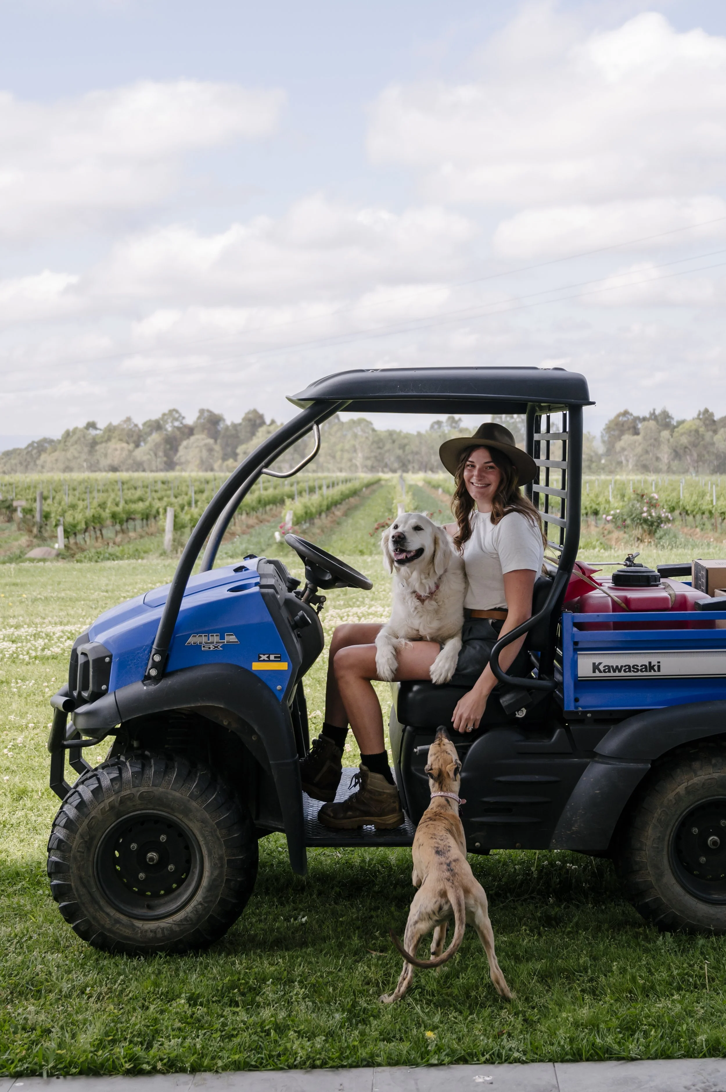 About the Rootlings Network — Rootlings: Australian Wine Youth Network