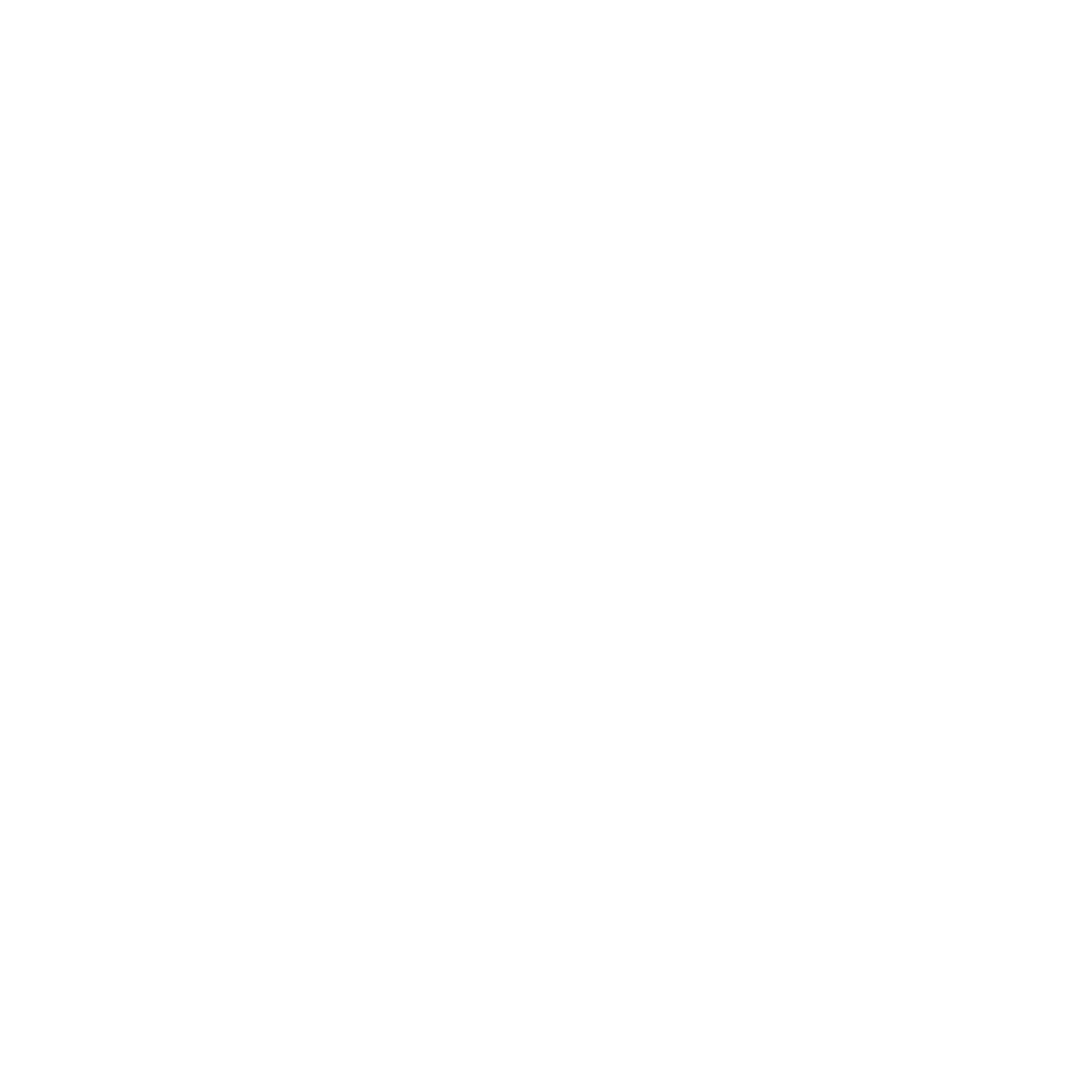 Gentle Willow Chiropractic | Dr Elise Schott | Gisborne | Macedon