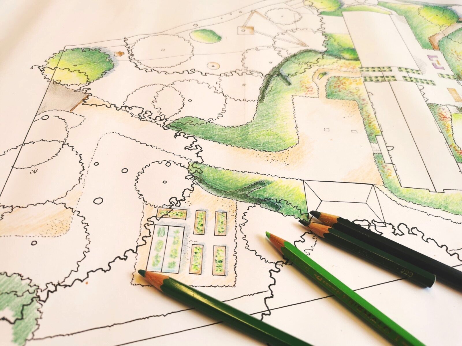 Design approach with clients — Luke Arend Garden Design
