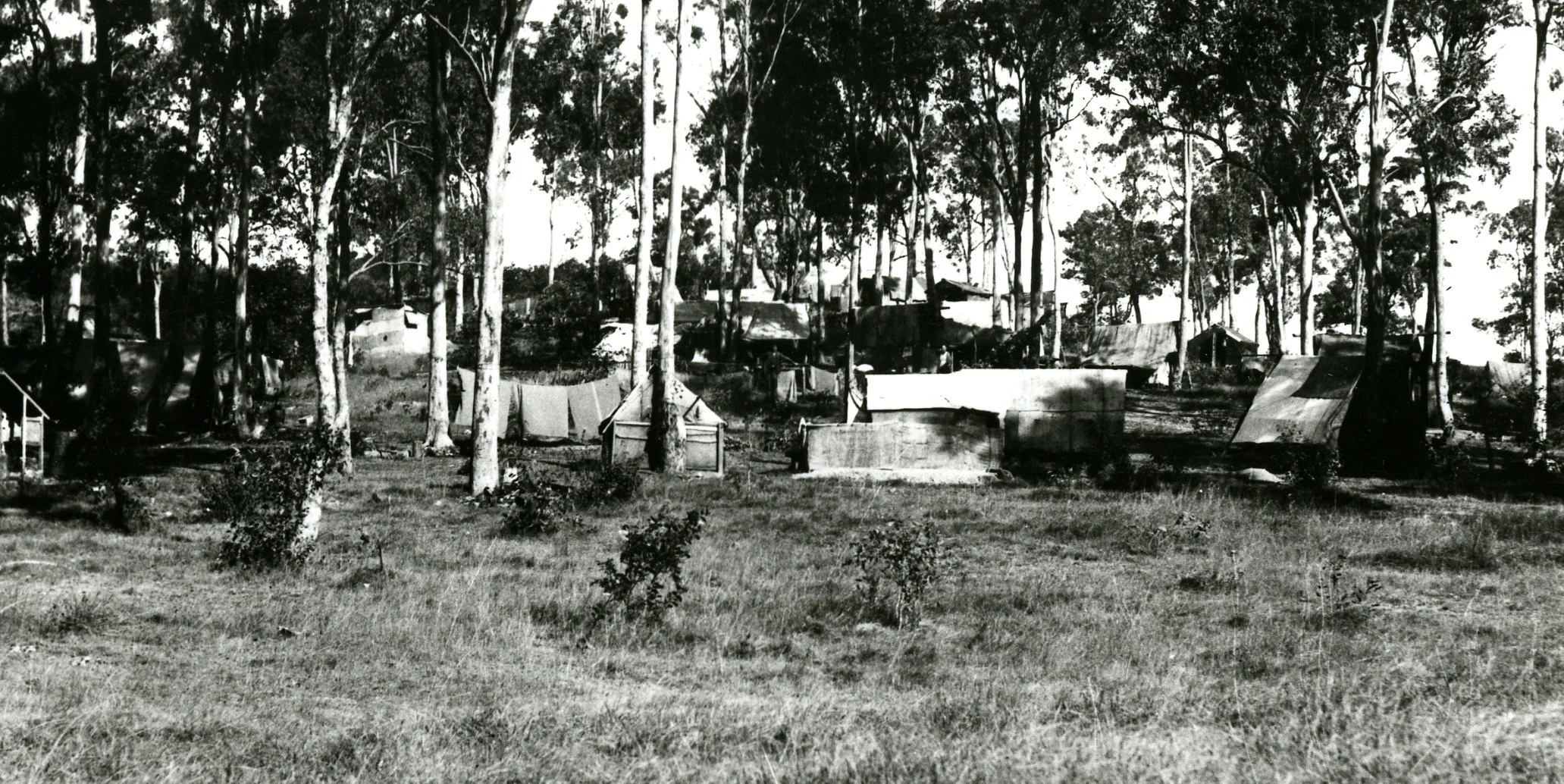 History and Significance to First Nations People — Save Victoria Park