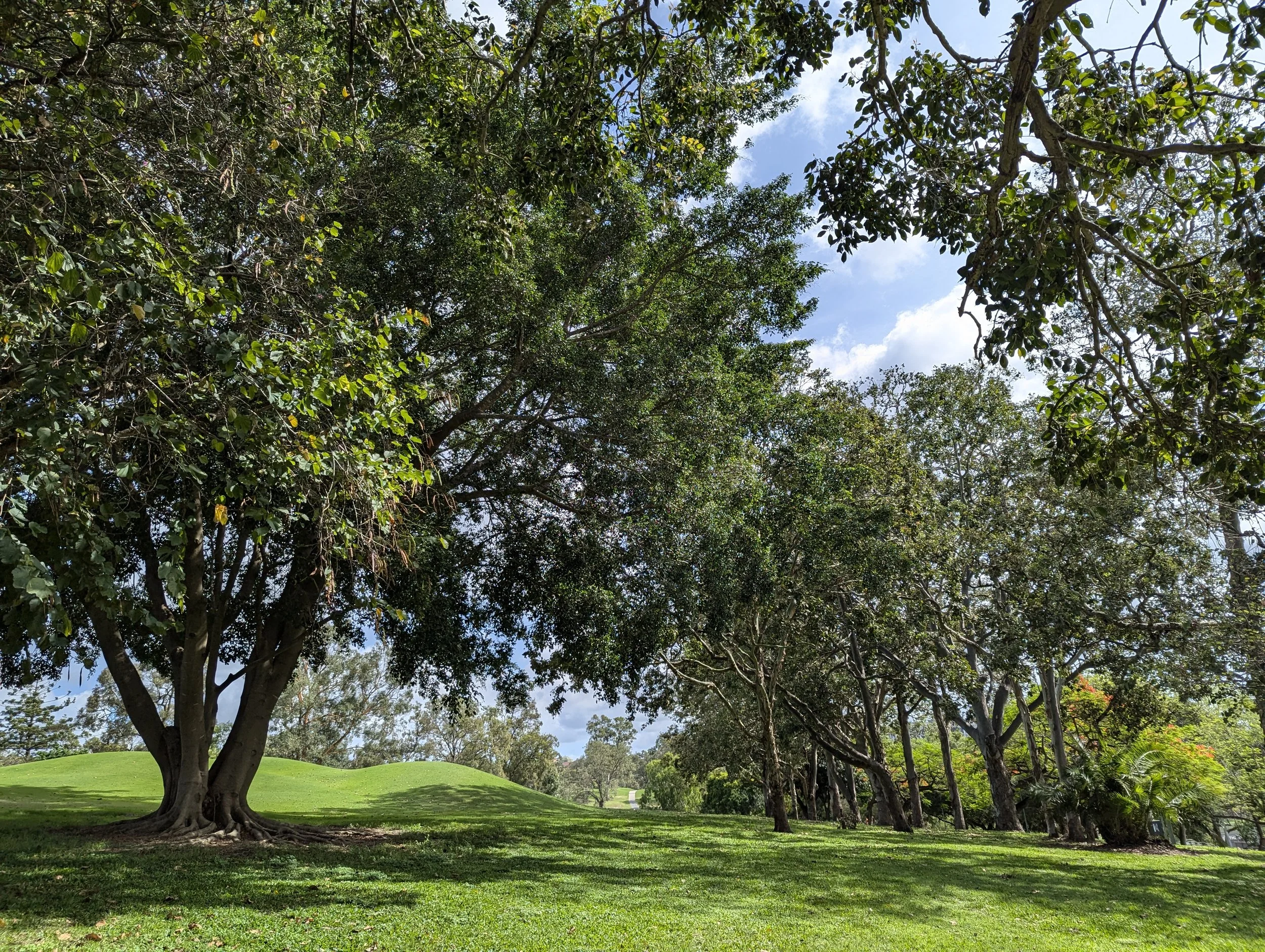 The Victoria Park Story — Save Victoria Park