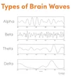 TMSi — an Artinis company — What Are the Different Types of Brain Waves?