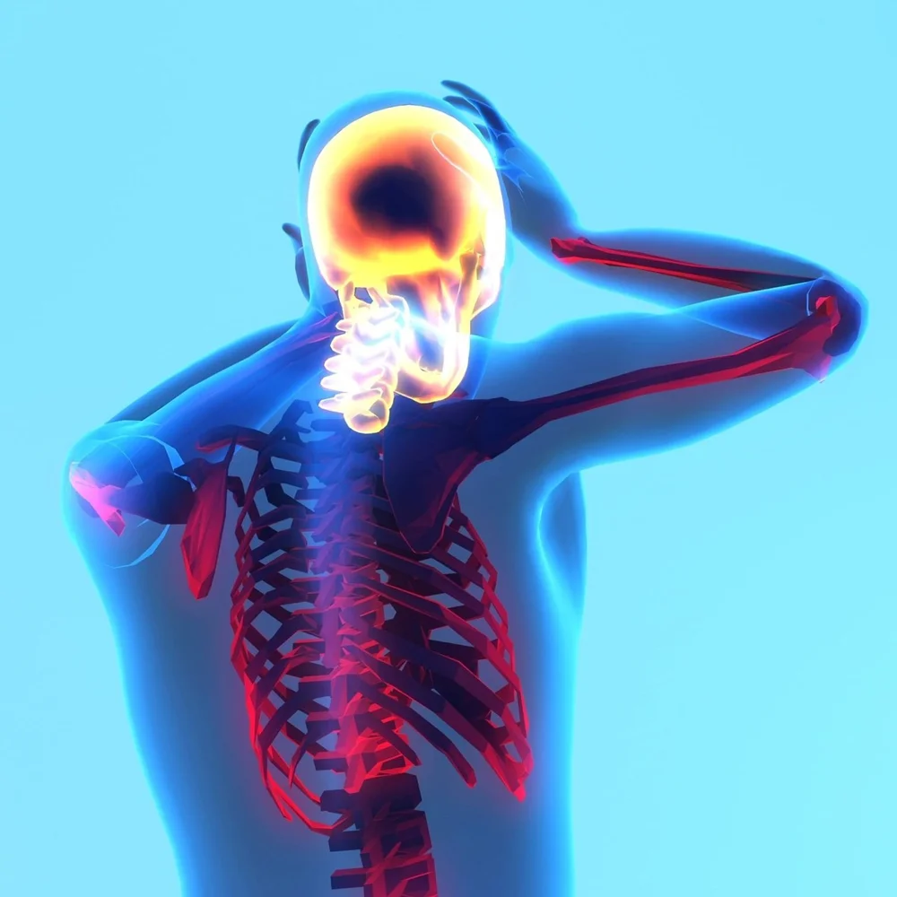 About — MiTiGate Trial