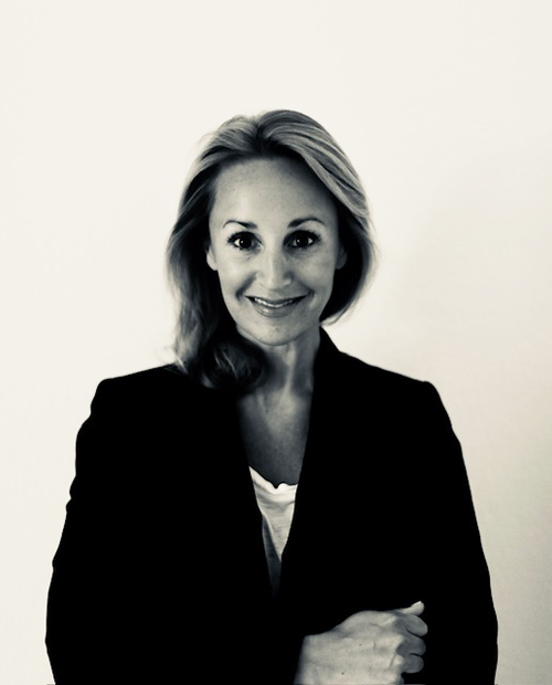 About — Project Arctial