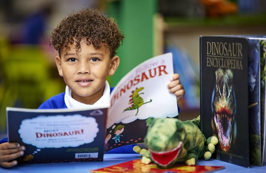 Reading Curriculum — Briscoe Lane Academy